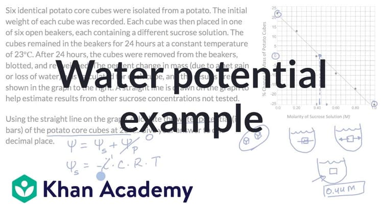 Water potential example | Cell structure and function | AP Biology ...