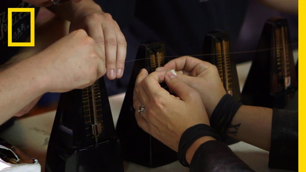 Tick Tock | National Geographic | Glasp