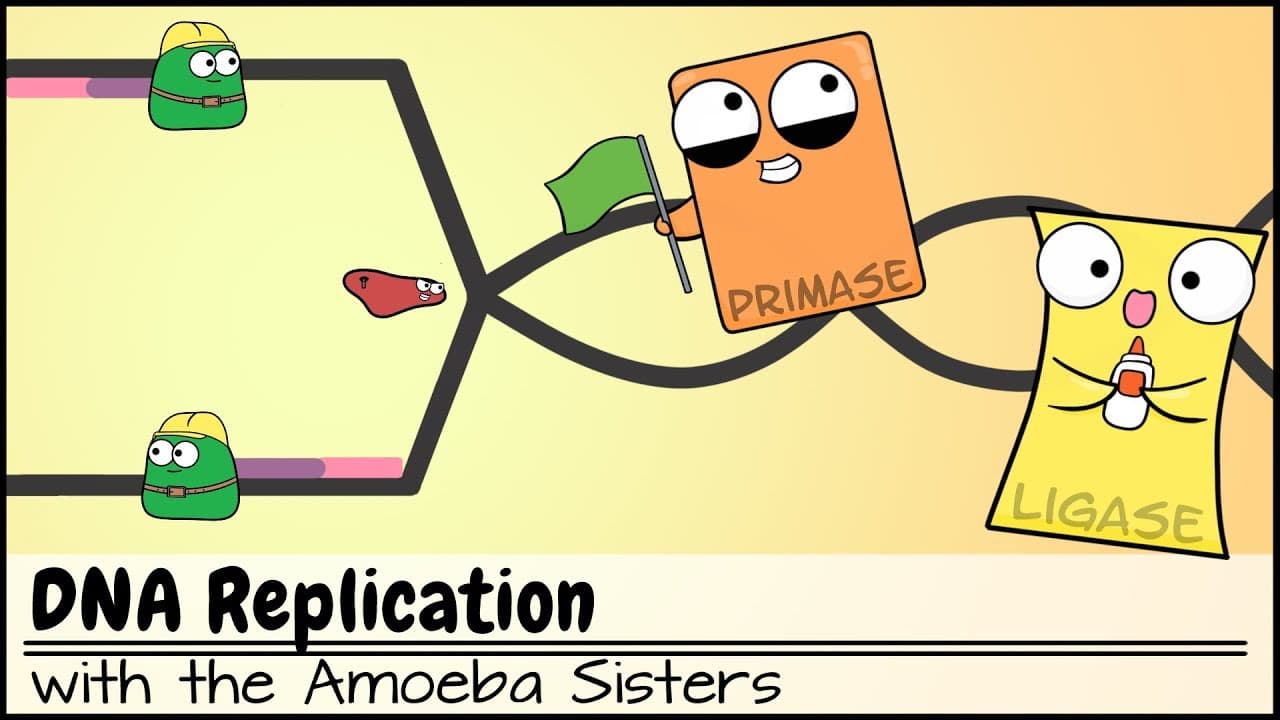 DNA Replication (Updated) | Glasp