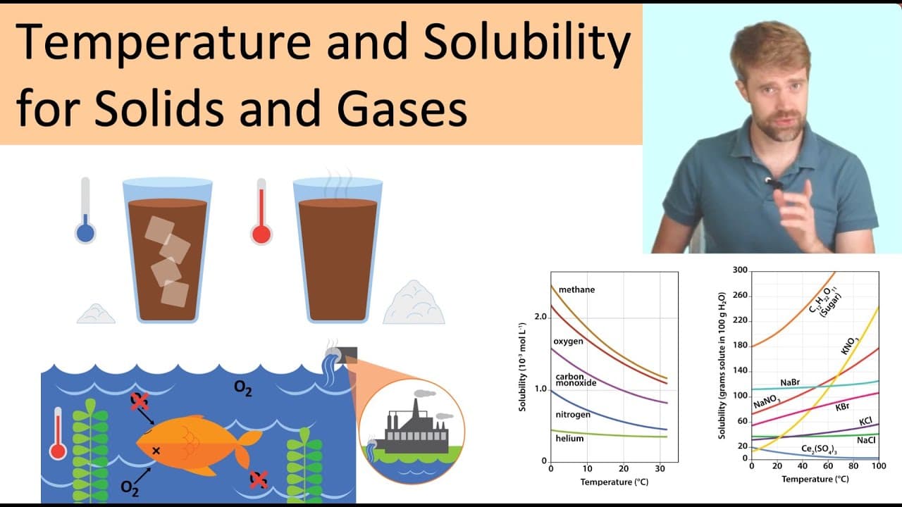How Does Temperature Affect Solubility of Solids and Gases? | Glasp