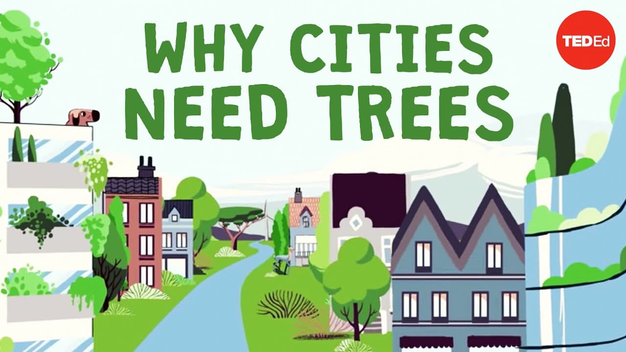 What happens if you cut down all of a city's trees? - Stefan Al | Glasp
